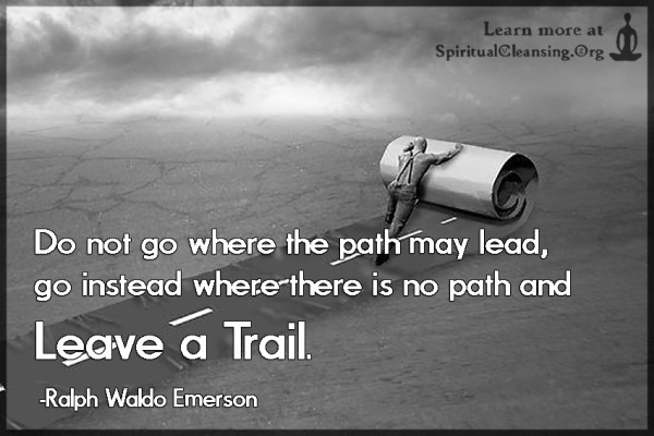 Do not go where the path may lead, go instead where there is no path ...
